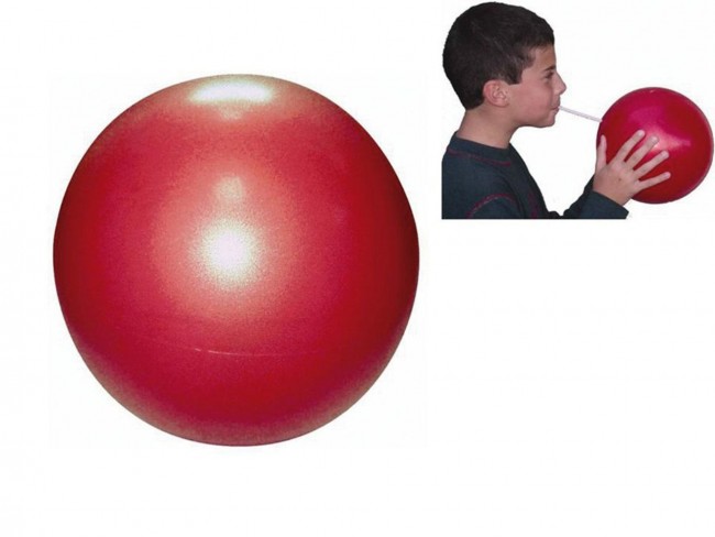 Bienvenue sur le site Les 3 Ours Ballon paille